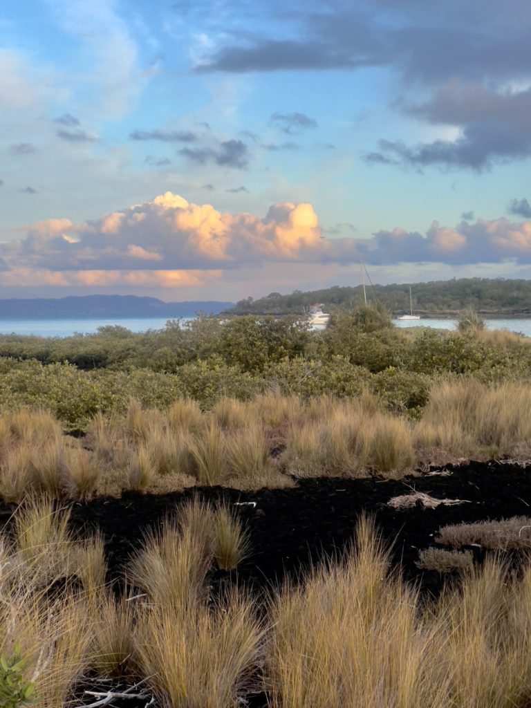 Rangitoto coastal walk at sunset | Master Boon